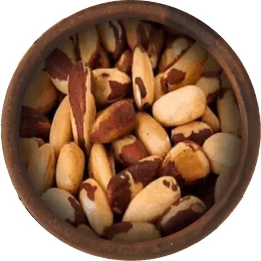 Bulk Brazil Nuts 25 LBS Twenty Five Pounds - Etsy
