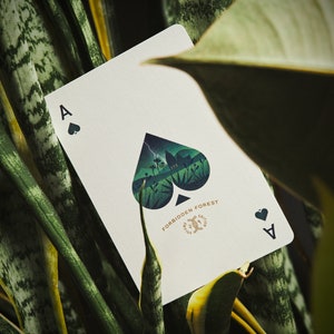 Forbidden Forest Playing Cards - Etsy