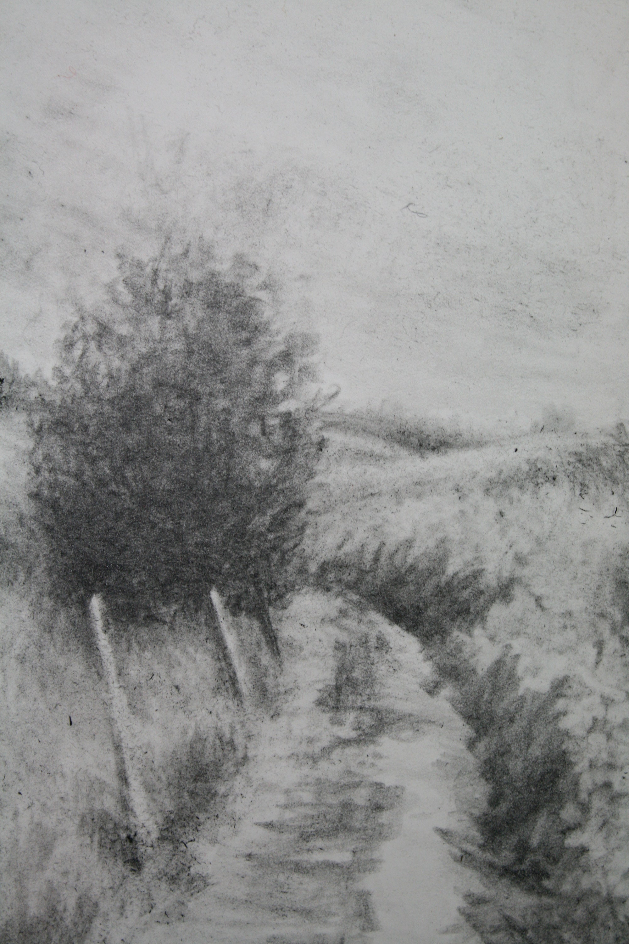 Original Art, Black & White Graphite Drawing, Summer Landscape, height ...