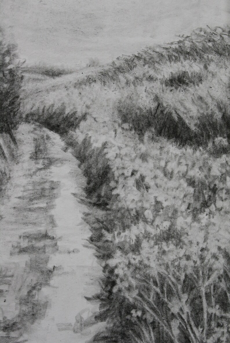 Original Art, Black & White Graphite Drawing, Summer Landscape, height ...