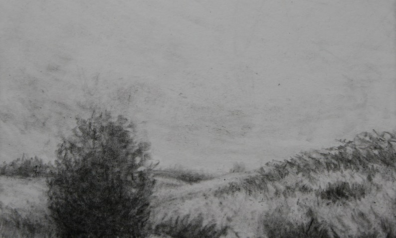 Original Art, Black & White Graphite Drawing, Summer Landscape, height ...
