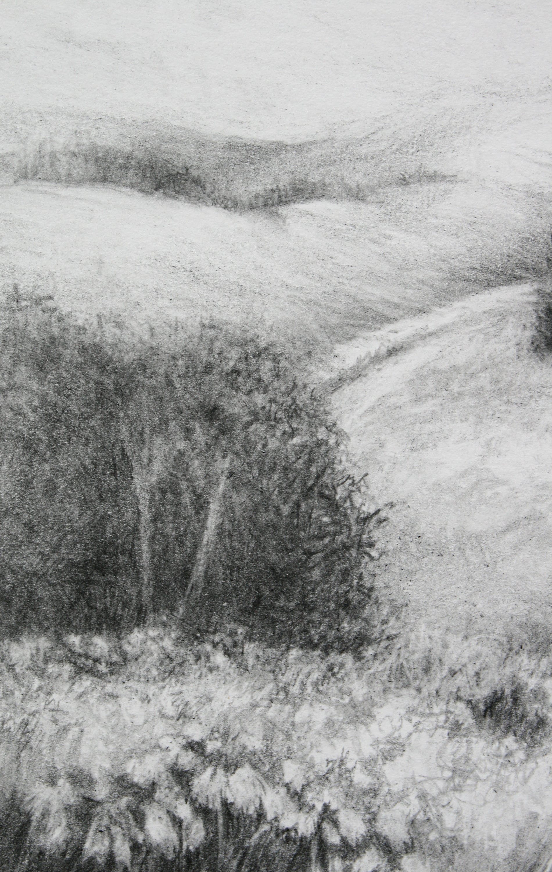 Original Graphite Landscape Drawing, Black & White Wall Art, cotton ...