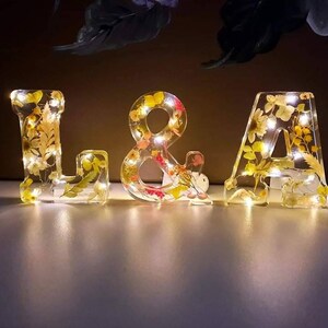 Customised Letter Lamps With Epoxy Resin and Real Dried Flowers, 10cm ...