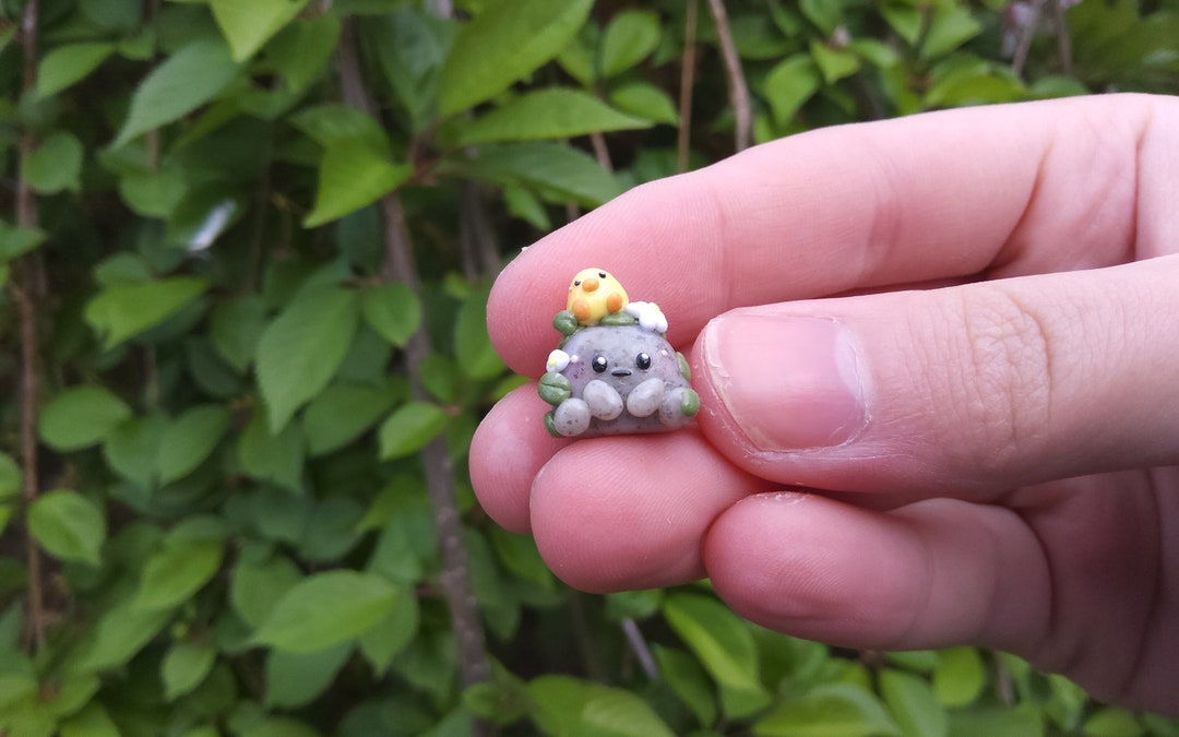 Pet Rock & Birb Friend | *made to Order | Mini Desk Buddy | Polymer ...