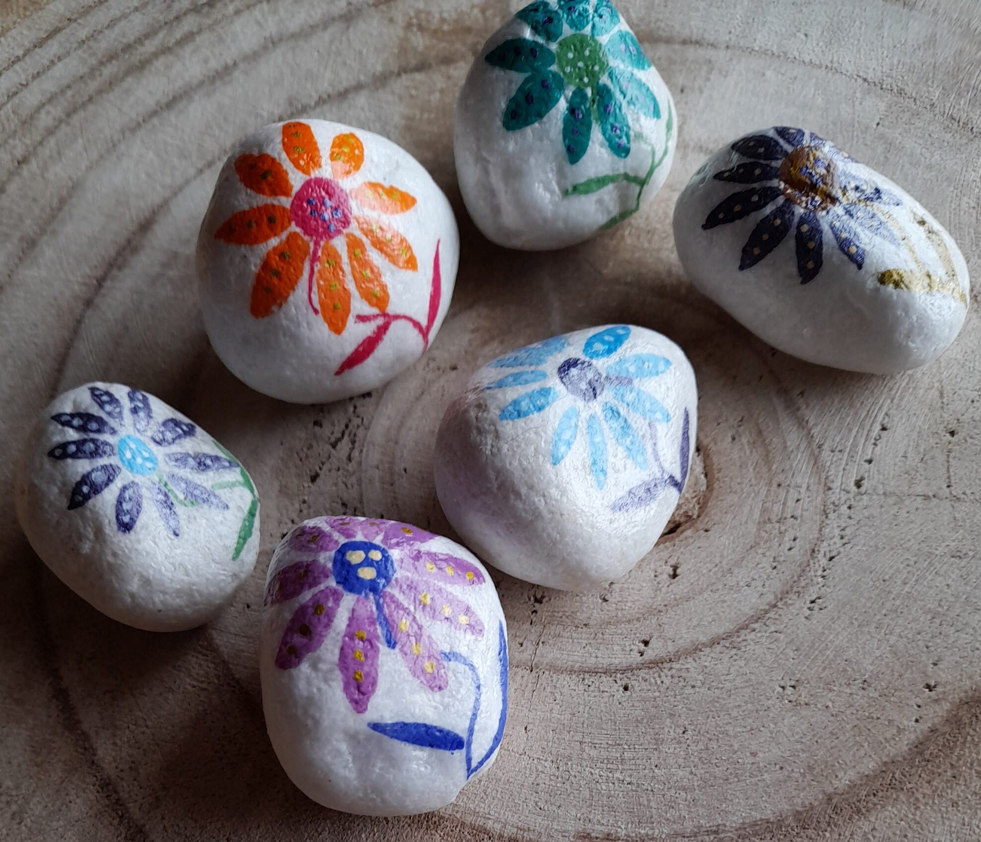 SET OF 6 Hand Painted Rocks Stones Pretty Flowers Unique - Etsy