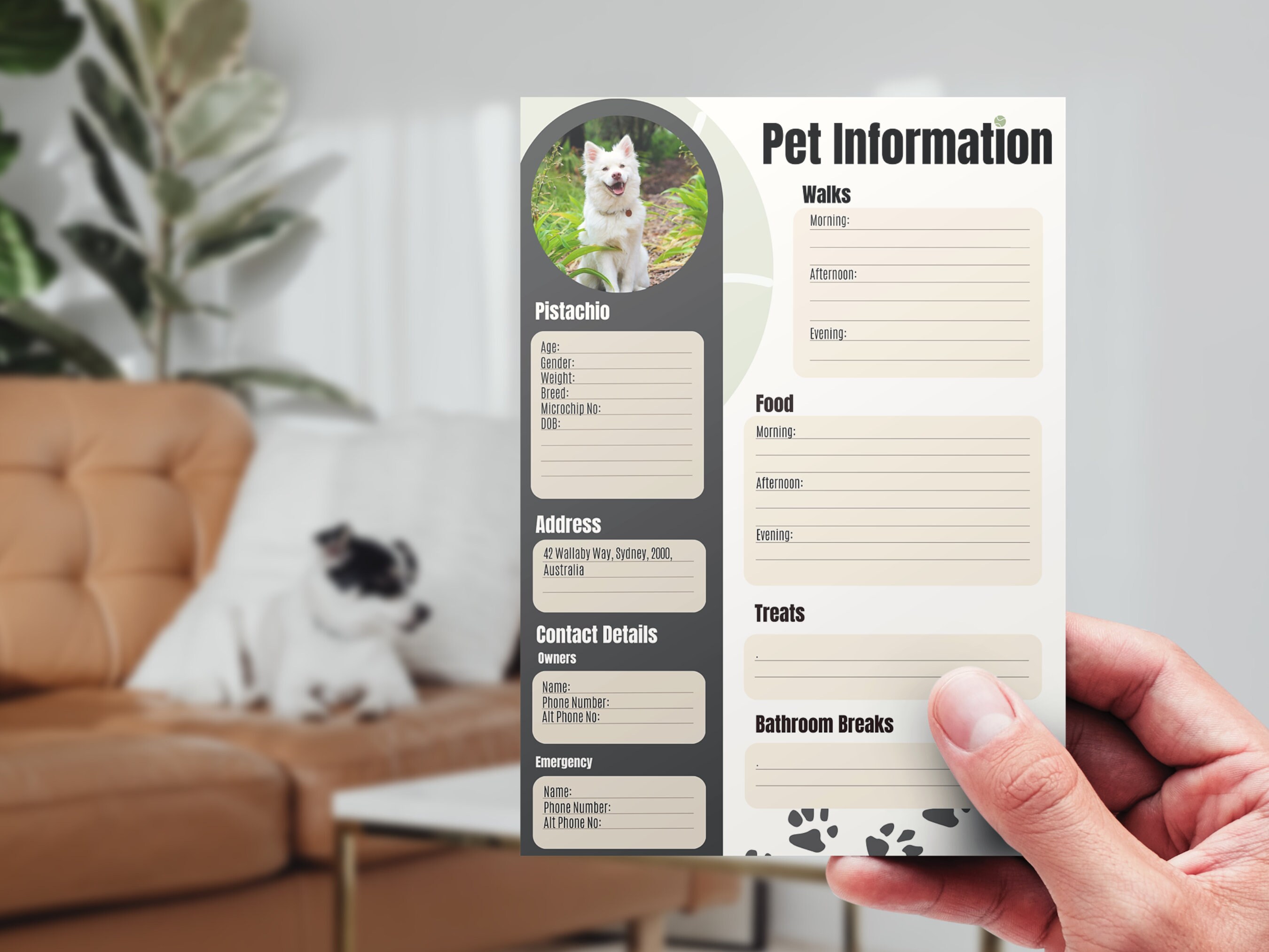 Pet Information Sheet - Canva Template - Pet Sitting (dog) - Etsy