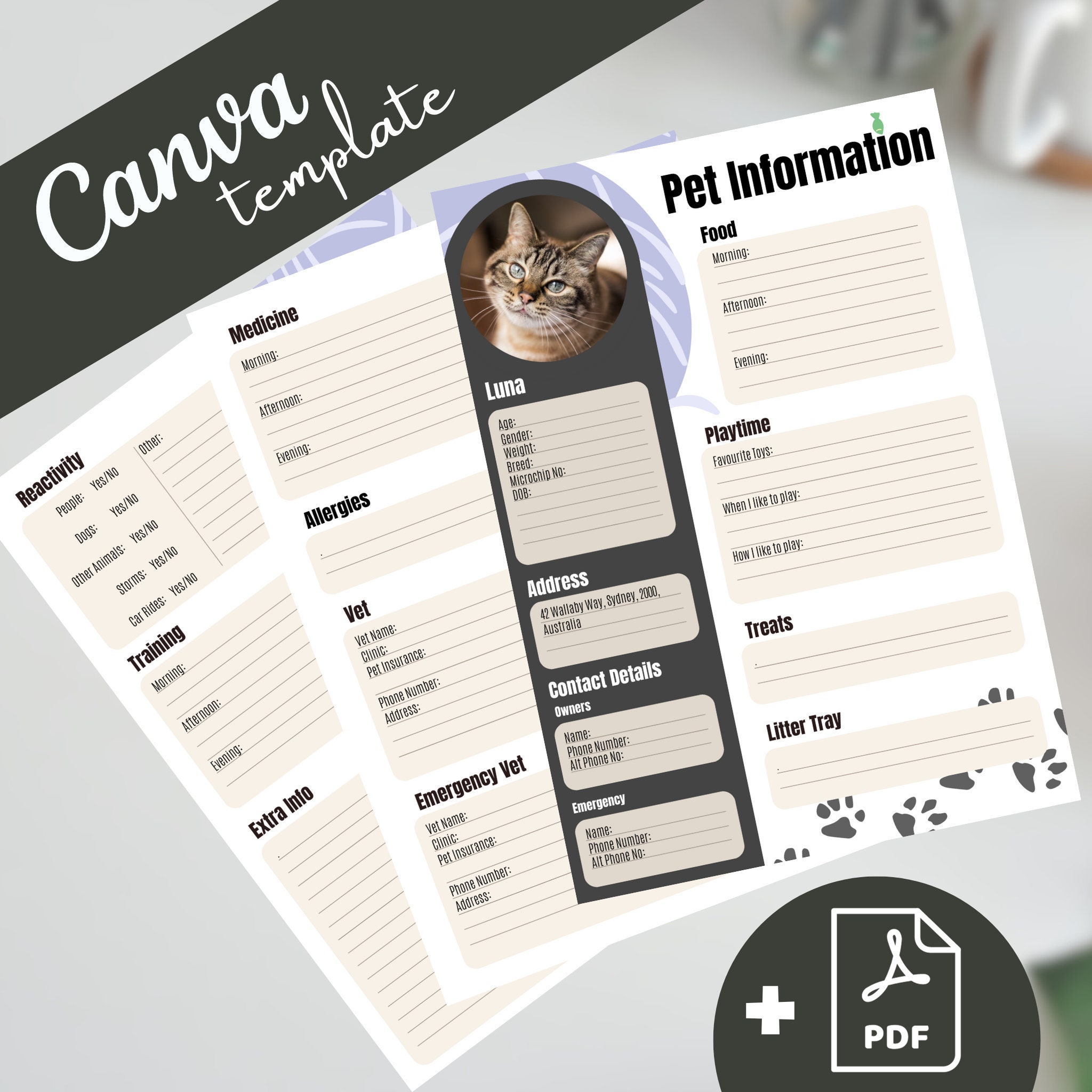 Pet Information Sheet - Canva Template - Pet Sitting (cat) - Etsy UK