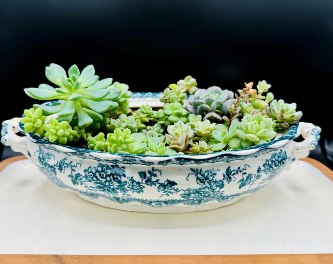 Rare and Unique Vintage Indoor Planter| Tureen Keeling & Co 1790 ...