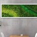 Mixed Moss Picture, Moss Square, Moss Rectangle, Moss Art, Moss Wall ...