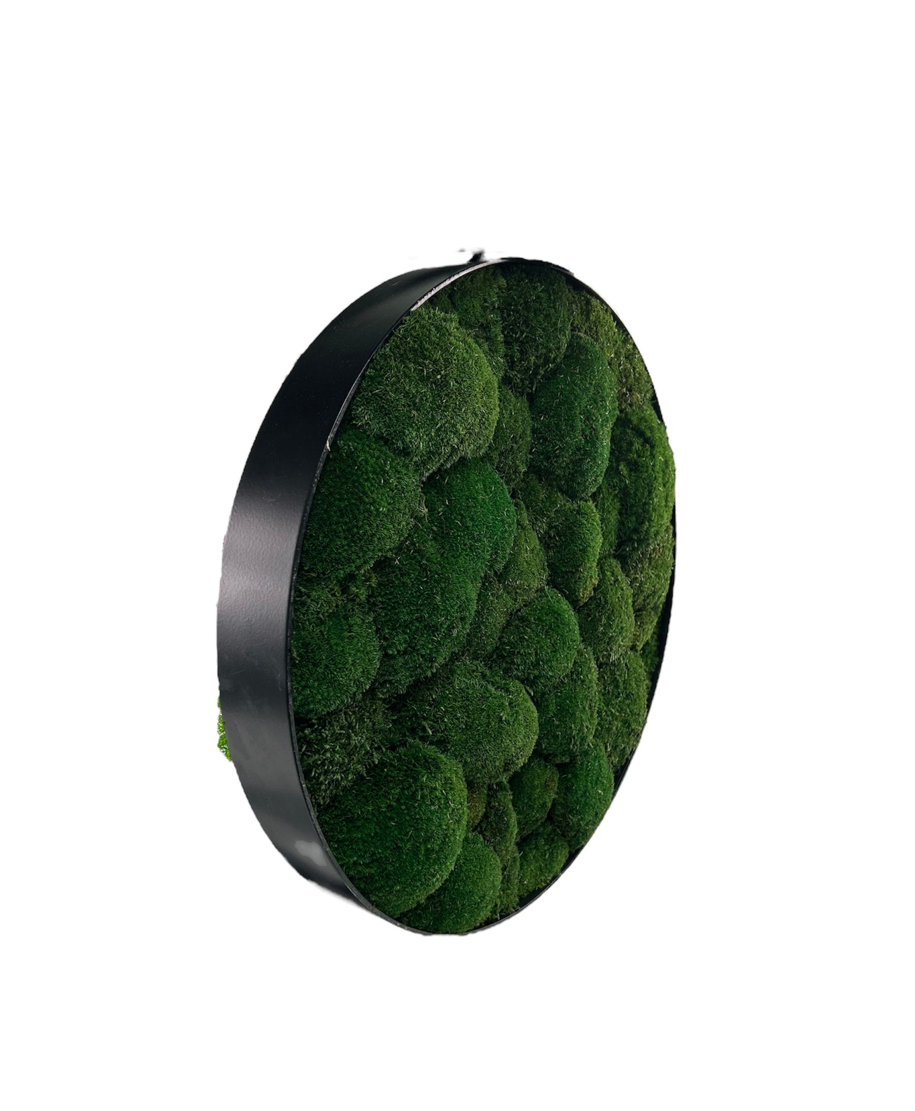 Bun Moss Picture, Moss Square, Moss Rectangle Moss Art, Moss Wall ...