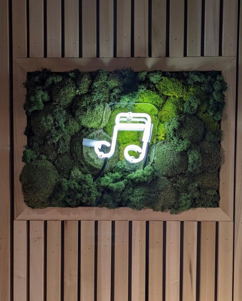 Mixed Moss Picture, Moss Square, Moss Rectangle, Moss Art, Moss Wall ...