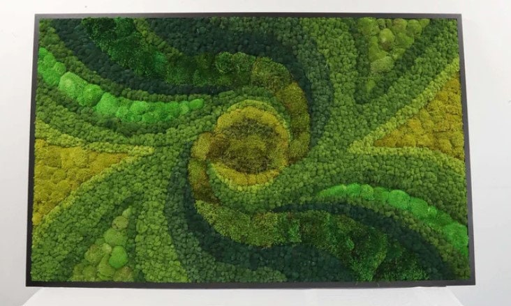 Mixed Moss Picture, Moss Square, Moss Rectangle, Moss Art, Moss Wall ...