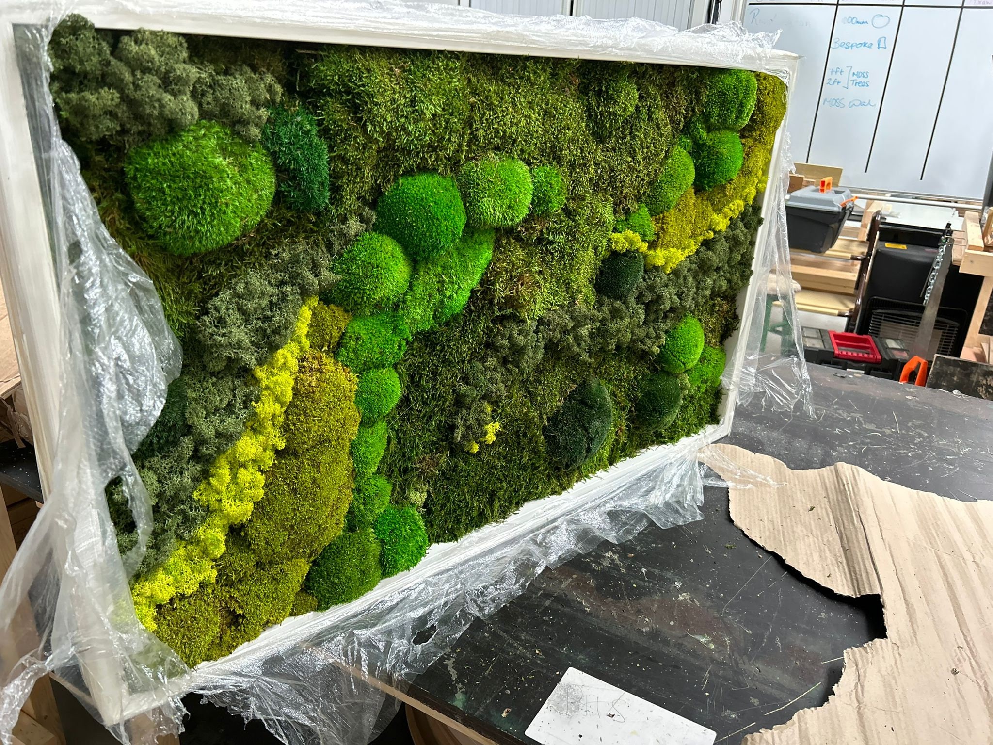 Mixed Moss Picture, Moss Square, Moss Rectangle, Moss Art, Moss Wall ...