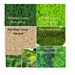 Mixed Moss Picture, Moss Square, Moss Rectangle, Moss Art, Moss Wall ...