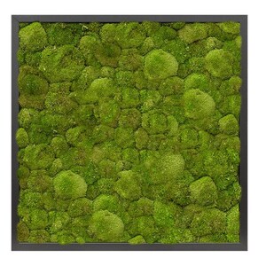 Bun Moss Picture, Moss Square, Moss Rectangle Moss Art, Moss Wall, Green Picture - Etsy