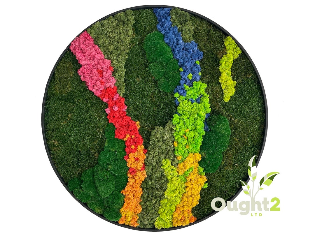Colourful Moss Art, Moss Picture, Colourful Preserved Moss Wall ...