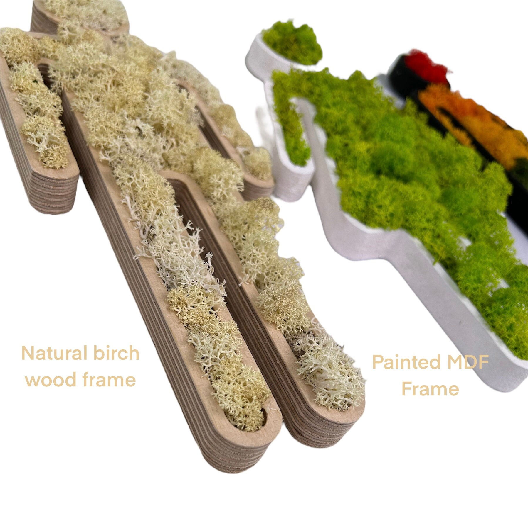 Moss WC Sign, Toilet Icons, Toilet Sign, Moss People, Nonbinary Sign ...