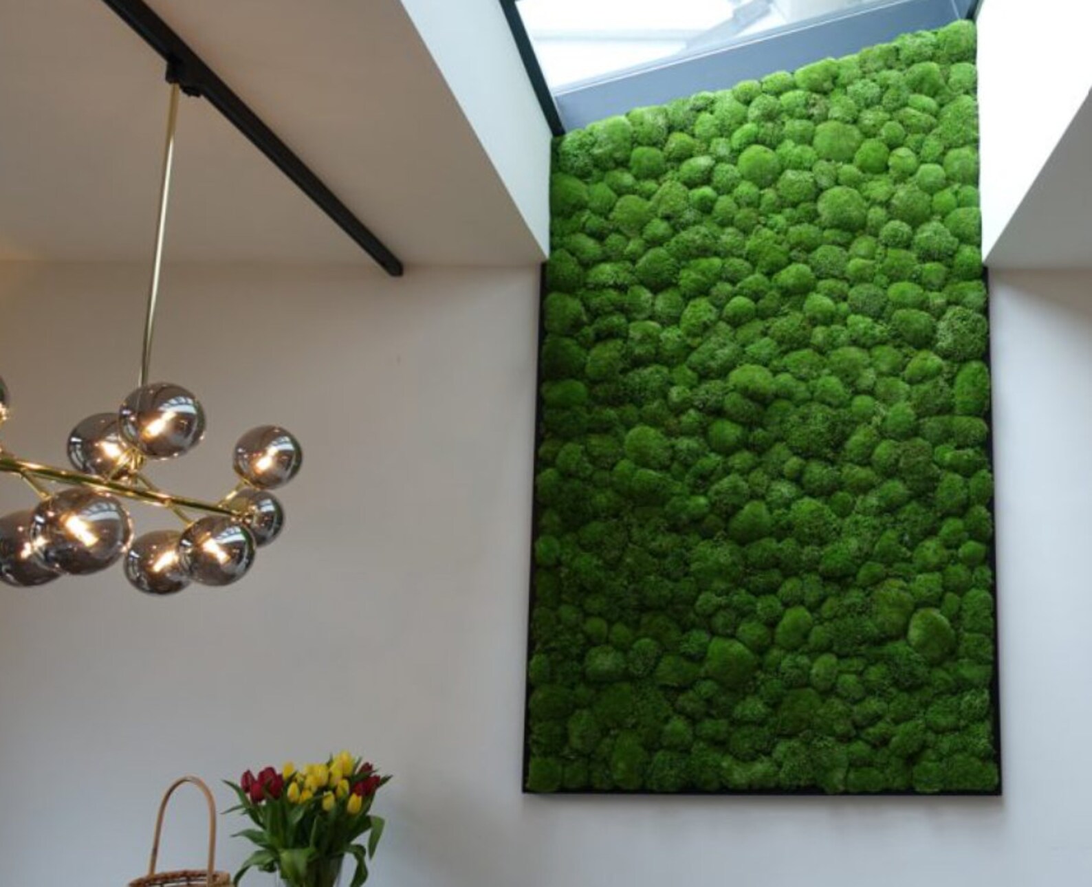 Bun Moss Picture, Moss Square, Moss Rectangle Moss Art, Moss Wall ...