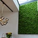 Bun Moss Picture, Moss Square, Moss Rectangle Moss Art, Moss Wall ...