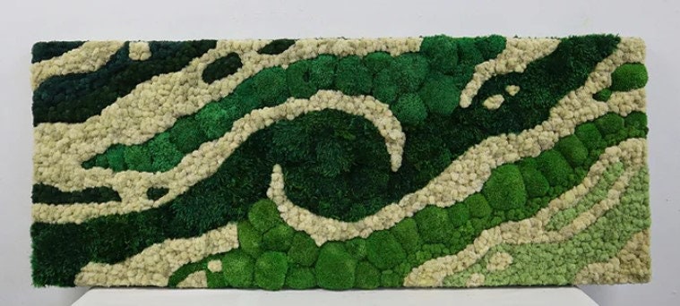 Mixed Moss Picture, Moss Square, Moss Rectangle, Moss Art, Moss Wall ...