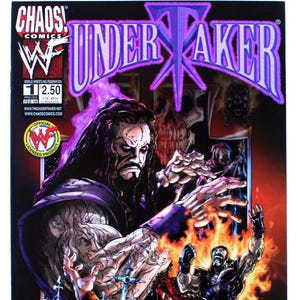 WWF (world Wrestling Federation) Undertaker Comic No. 1 Preview Book - Etsy