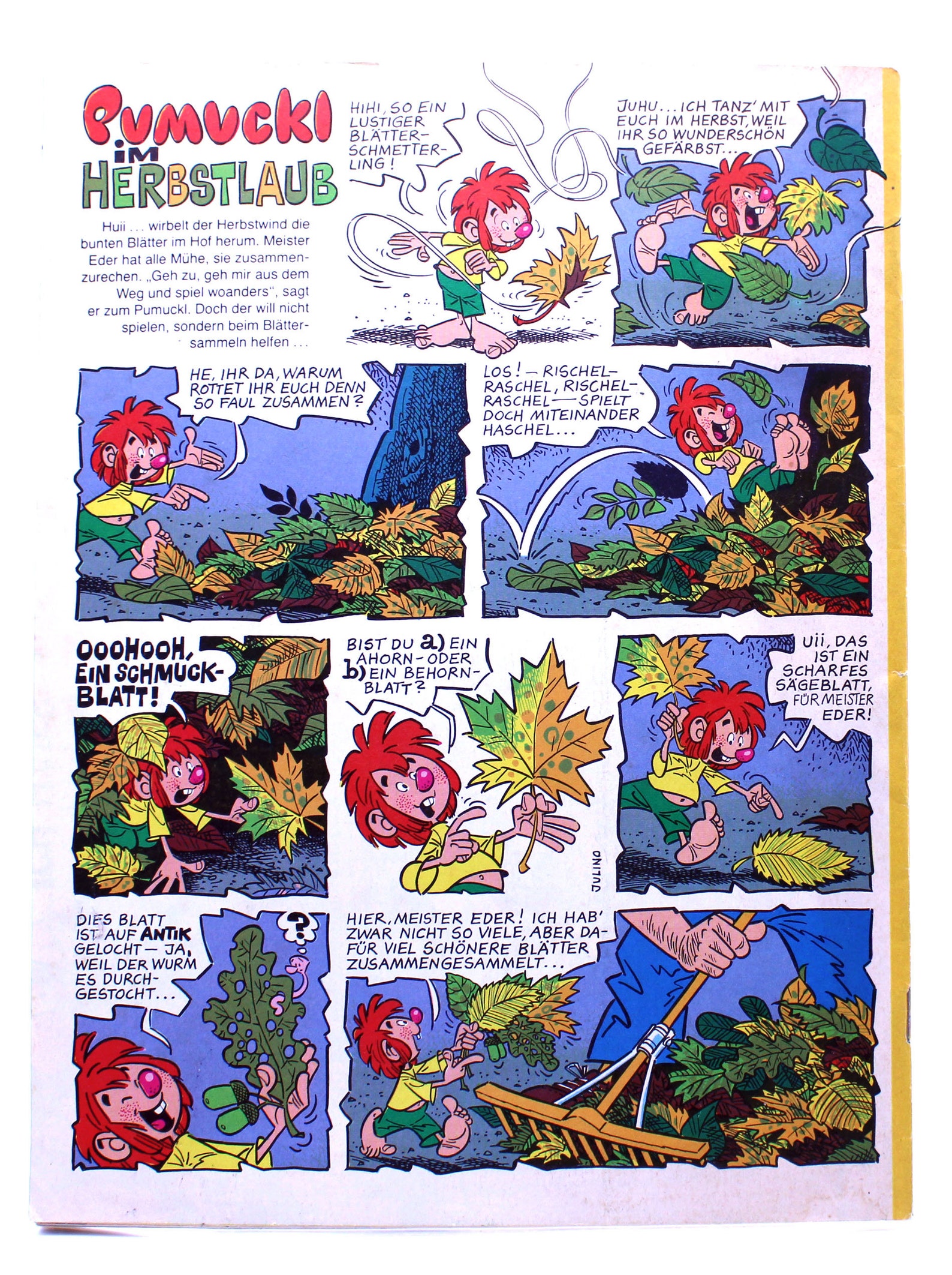 Pumuckl - the First Pumuckl Magazine in the World - Craft & Comic ...