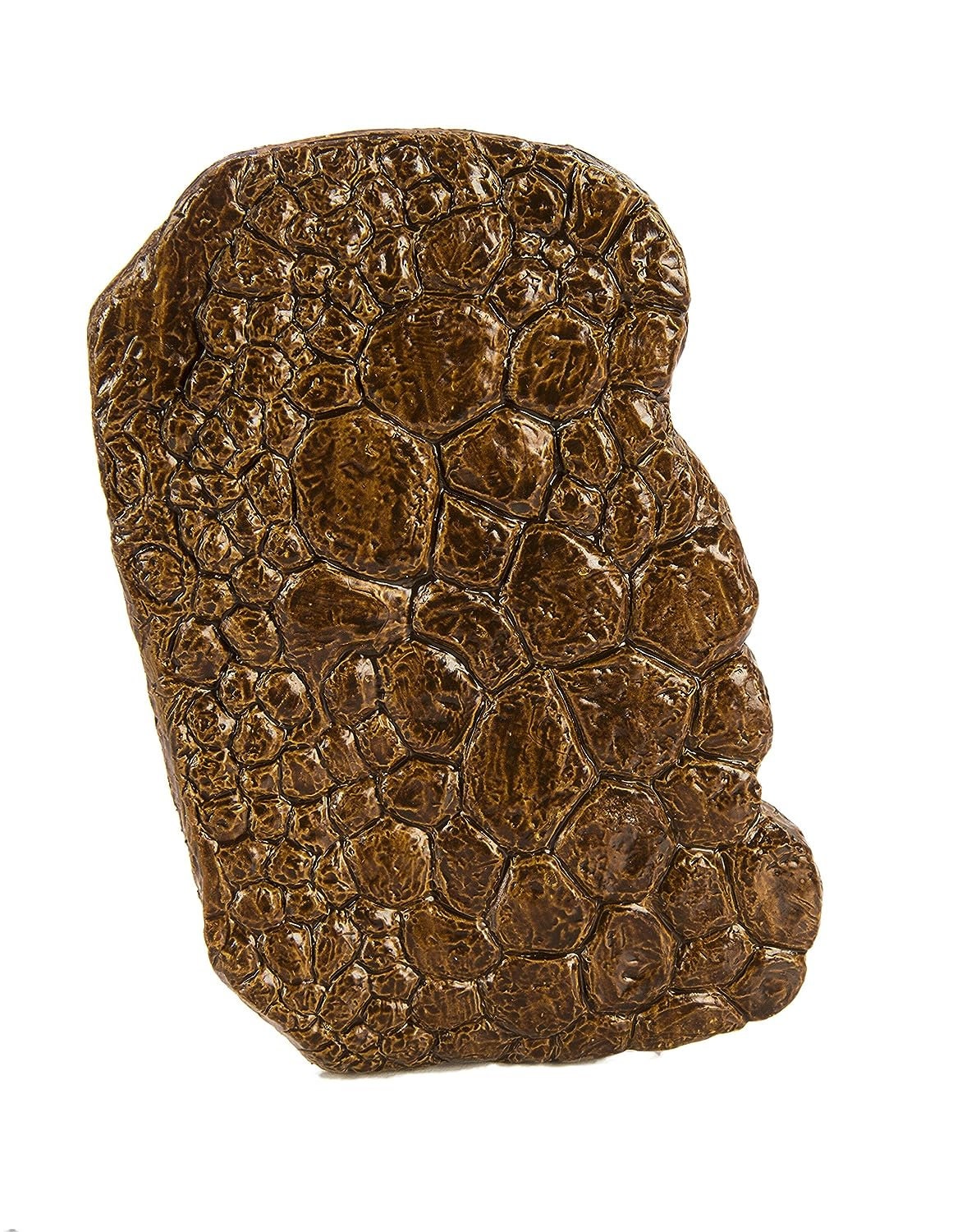 Safariology Ancient Fossils Dinosaur Skin (replica Dinosaur Skin) - Etsy