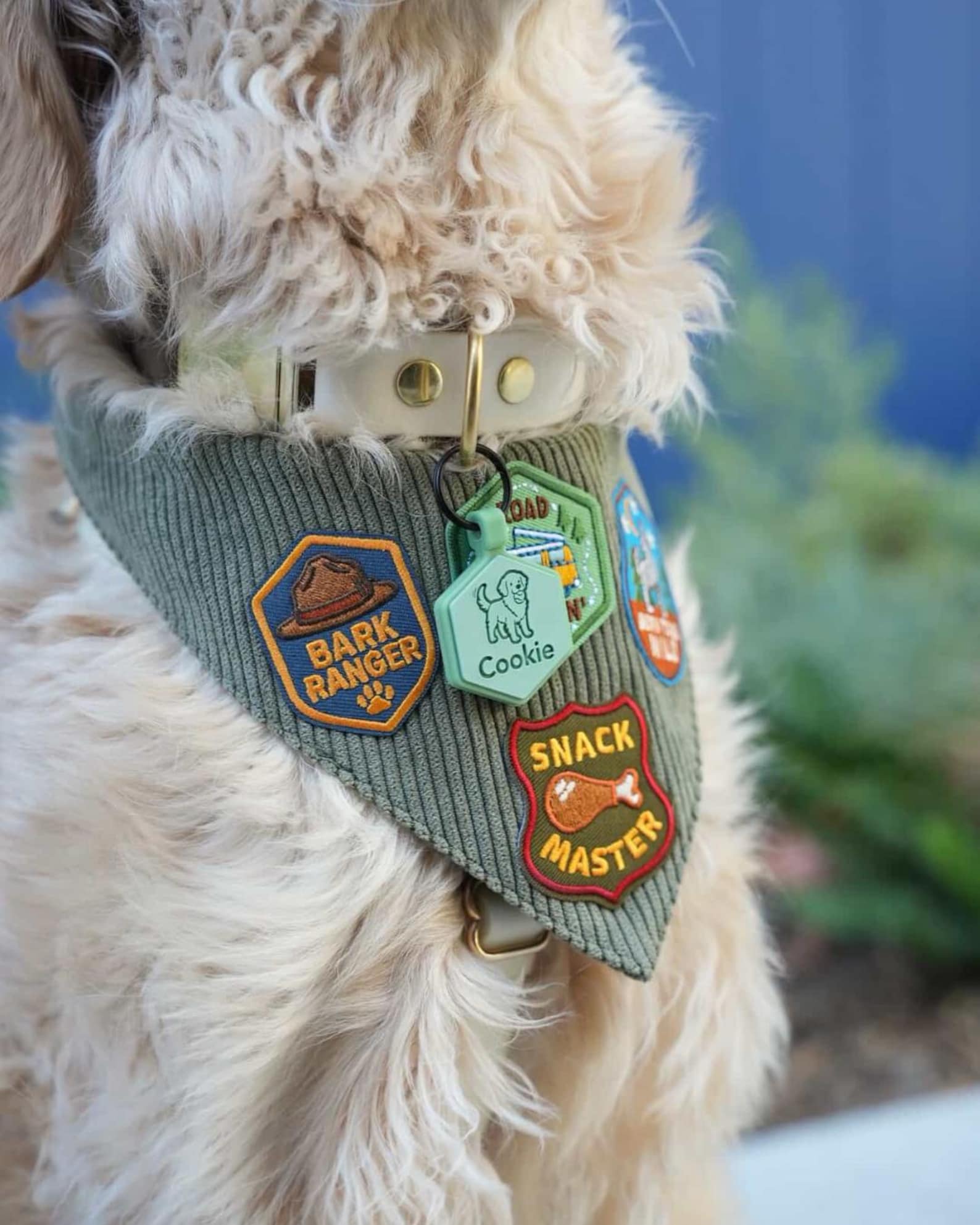 Bark Ranger Iron-on Patch | Embroidered Dog Bandana Patch | Scout Merit ...