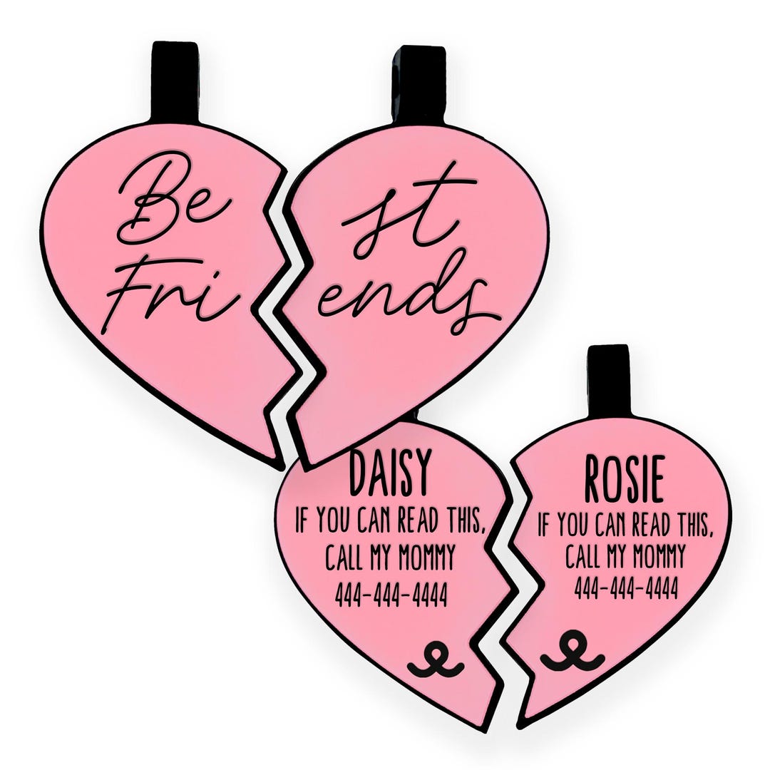 Best Friends Cursive Personalized Pet Tag | Set of 2 BFF ID Tags ...