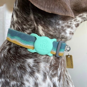 AirTag Pet Collar Holder Dog Collar Air Tag Case Dog ID Name Tag Pet ...