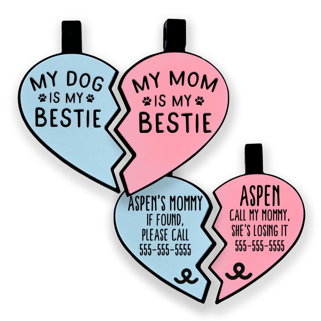 Bestie Dog Tag & Keychain Set: Personalized Silicone Pet ID - Etsy