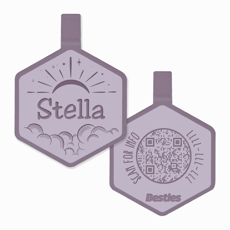 Engraved Pet Tag - Etsy