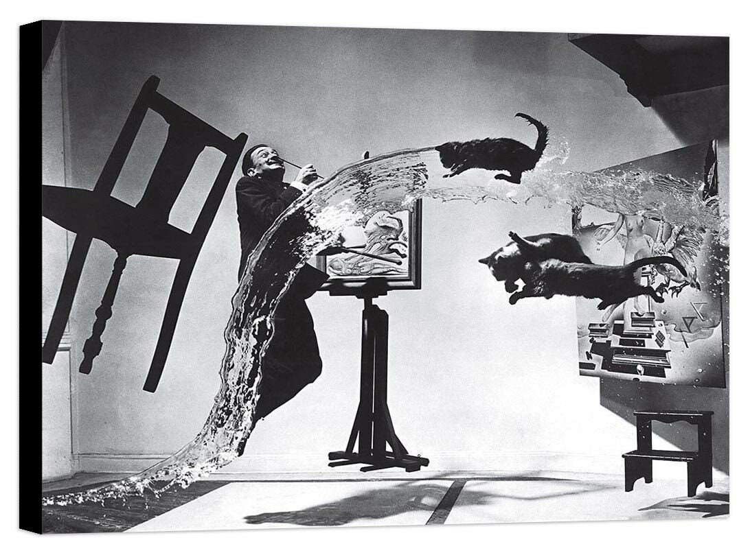Art Prints on Poster or Framed Canvas Halsman Dali Atomicus - Etsy