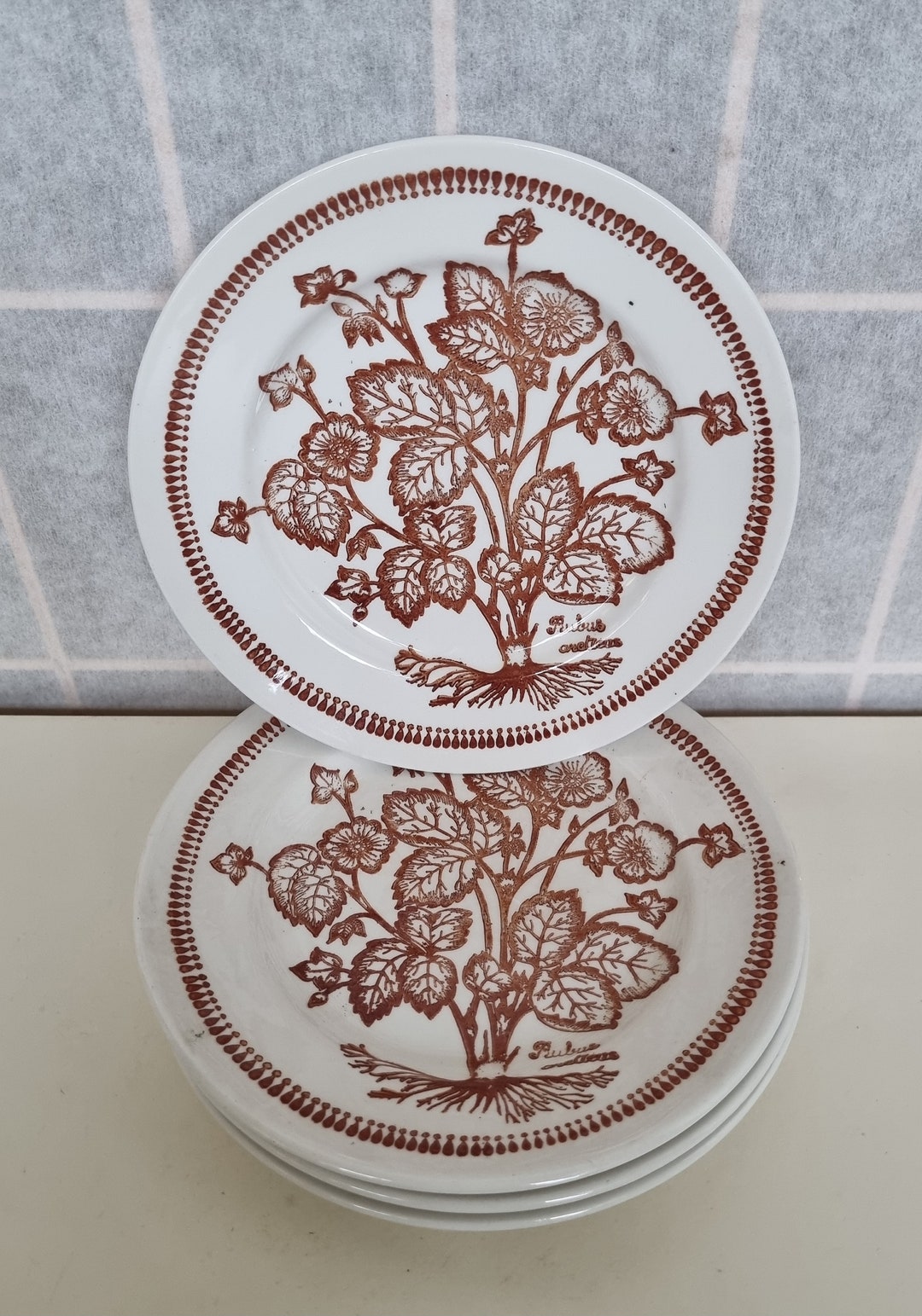 Vintage Plate Set English Wild Flowers Kathie Winkle Borage Broadhurst ...