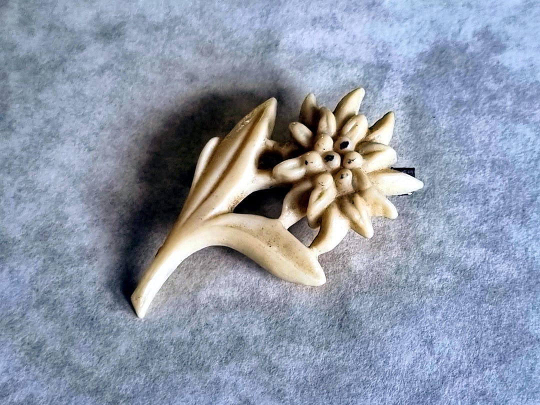 Vintage Edelweiss Brooch Carved – 1930s Horn Bone Austria Germany ...