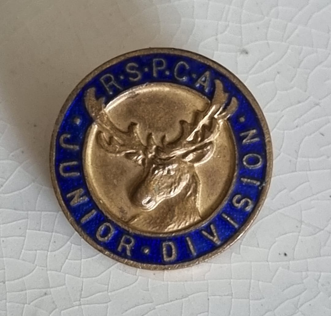 RSPCA Junior Division Pin | Vintage Stag Head Enamel Badge | Blue Gold ...