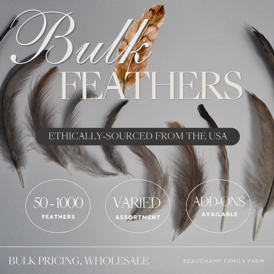 50, 100, 250, or 500 Bulk Feathers, Wholesale All-natural Chicken ...