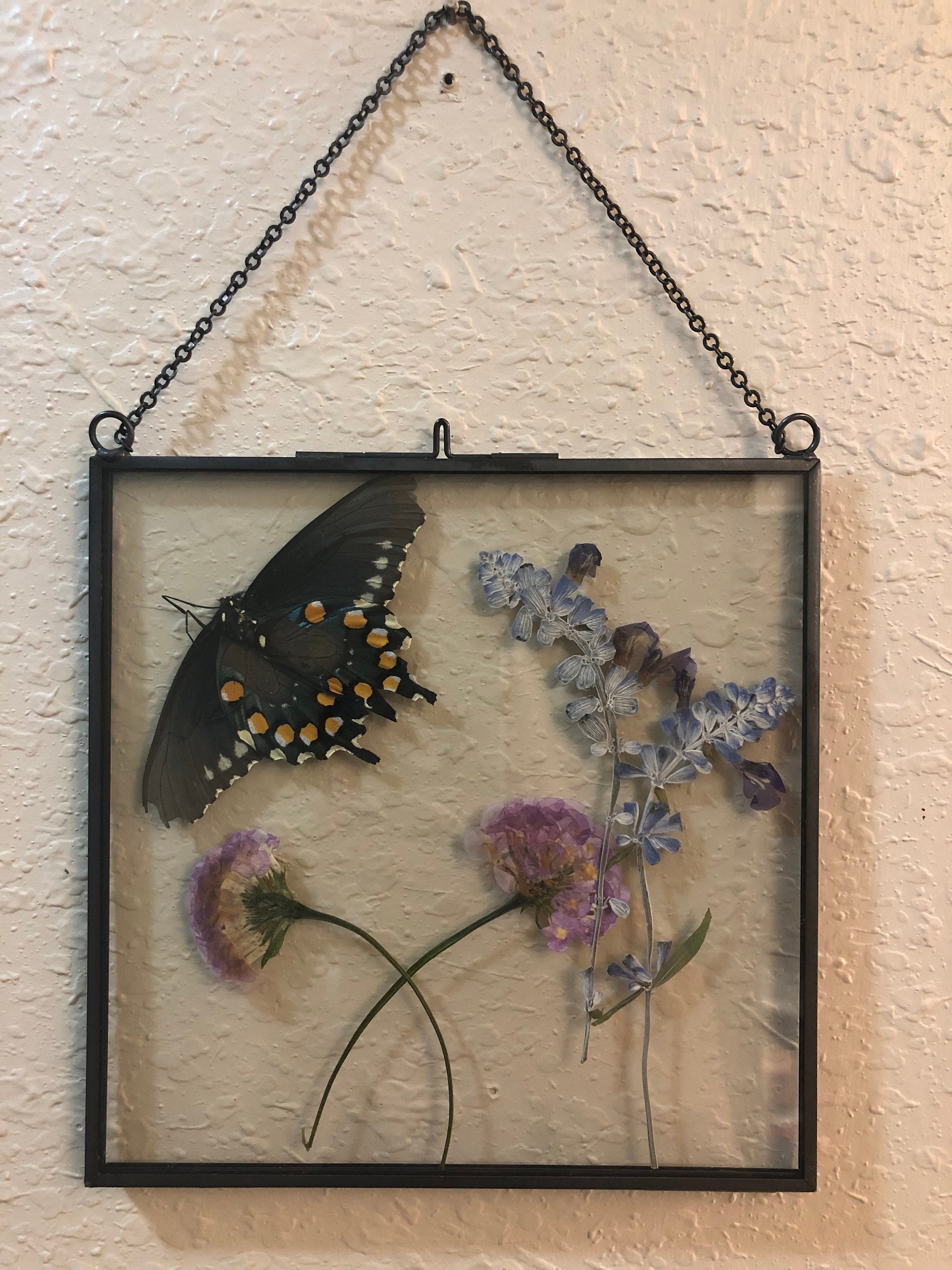 Pressed Flowers W Butterfly 6"x6" - Etsy