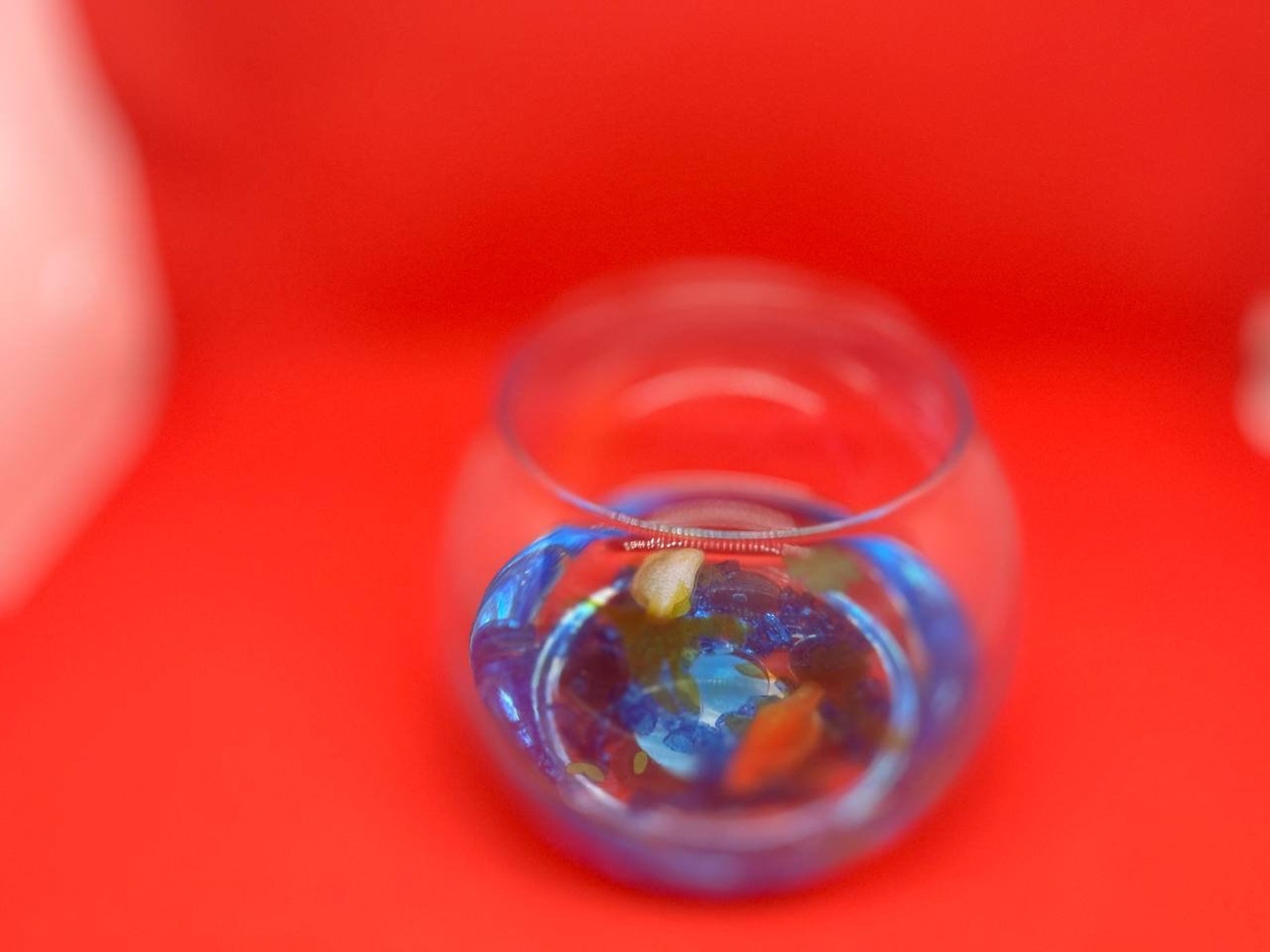 Resin 3D Fish Bowl - Etsy