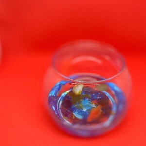 Resin 3D Fish Bowl - Etsy