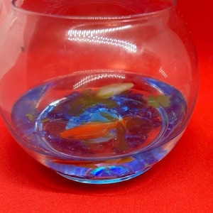 Resin 3D Fish Bowl - Etsy