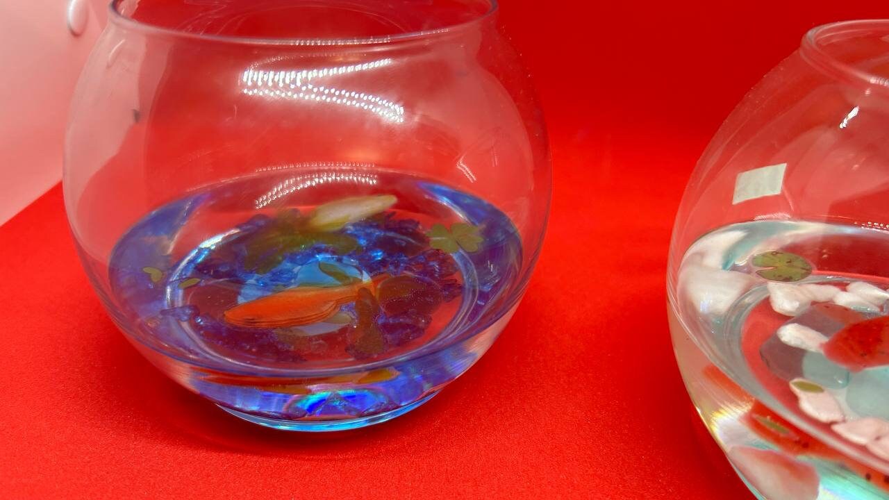 Resin 3D Fish Bowl - Etsy