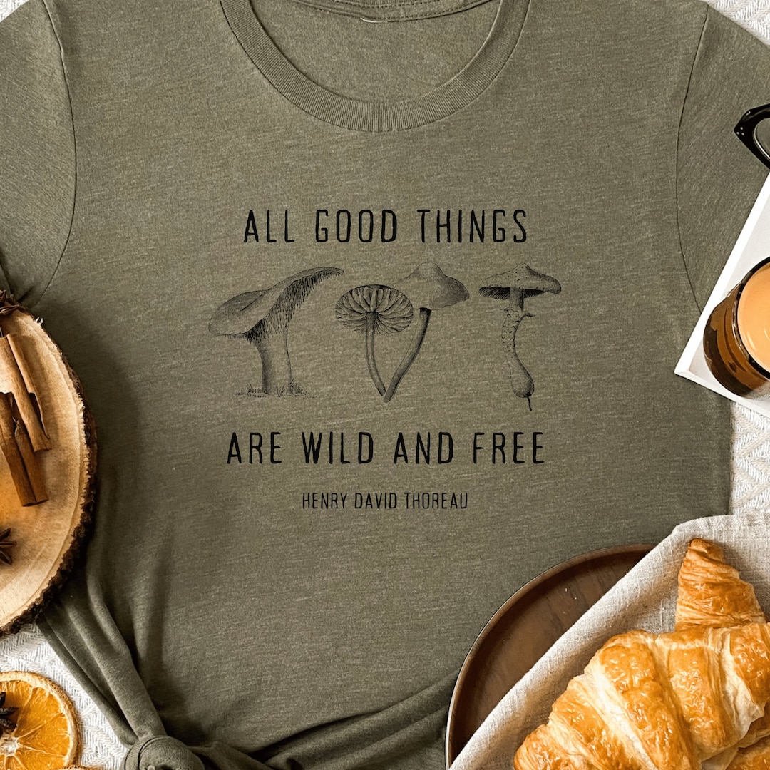 Goblincore Shirt, Crowcore Clothing, Gothic Dirtcore Tshirt, Dark ...