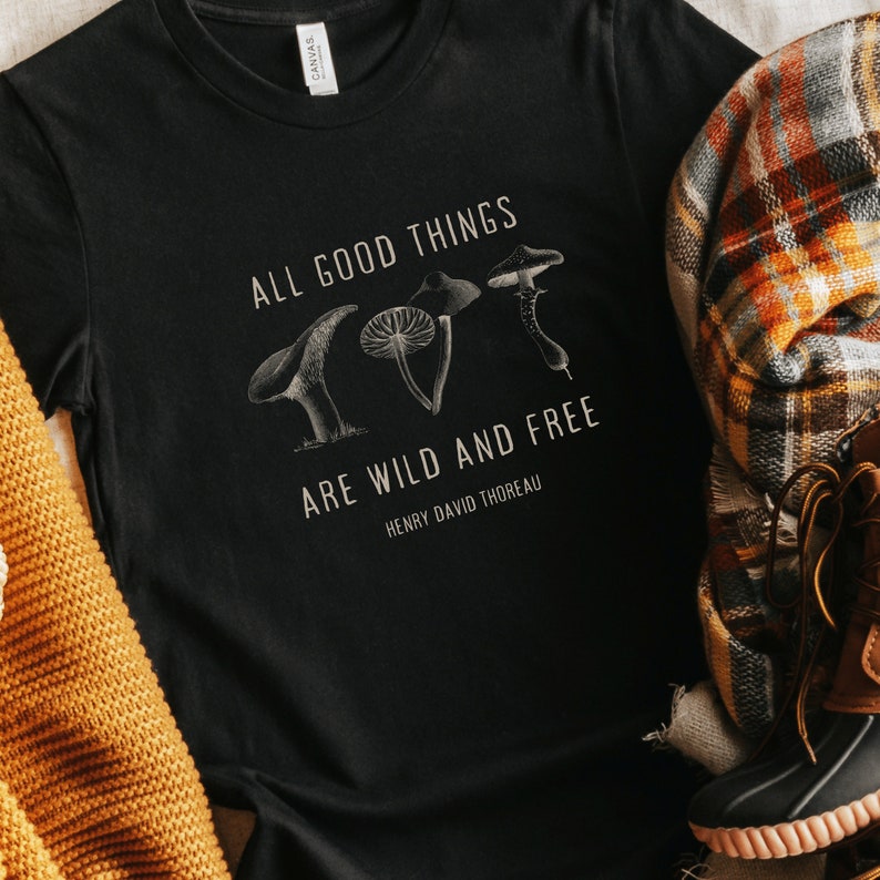 Goblincore Shirt, Crowcore Clothing, Gothic Dirtcore Tshirt, Dark ...