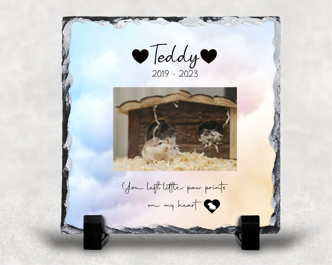 Hamster Memorial Photo Slate, Hamster Memorial Slate, Hamster Photo ...