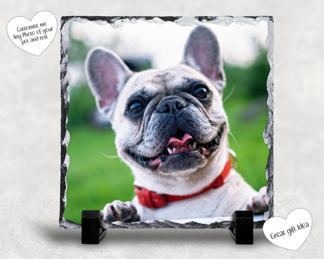 Pet Photo Slate, Cat Photo Slate, Pet Slate Plaque, Photo Gift, Dog ...