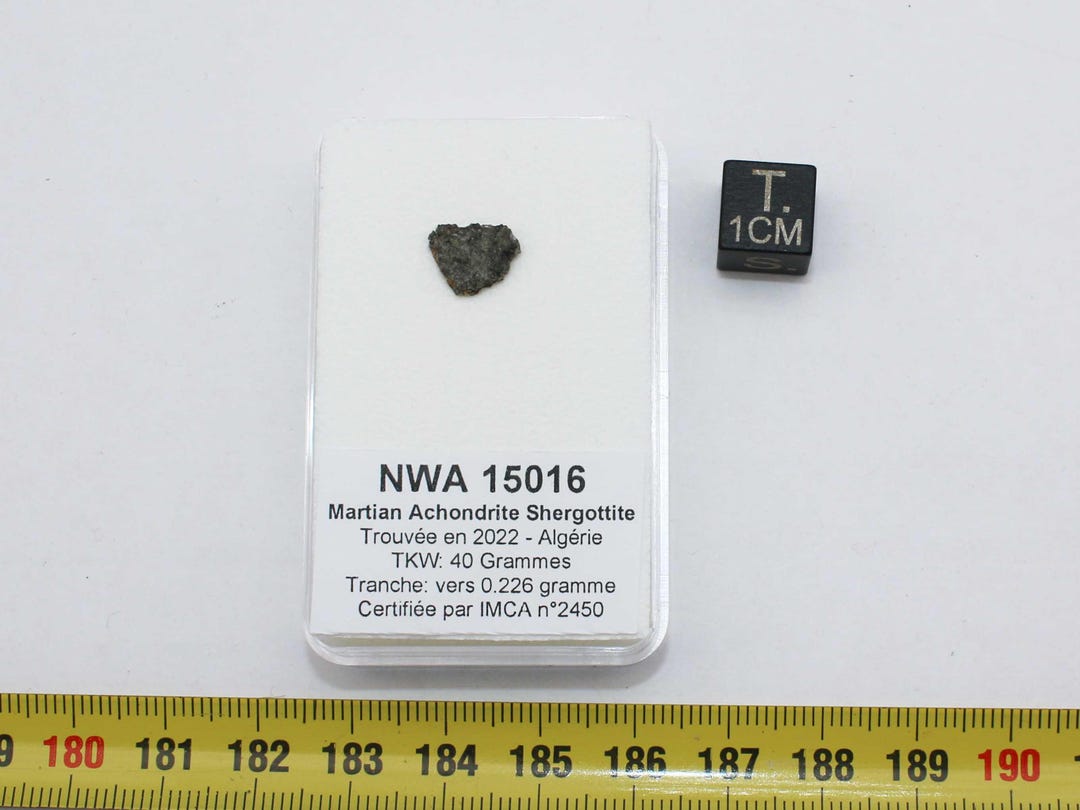 Martian Meteorite Slice NWA 15016 in a Box Achondrite Shergottite ...