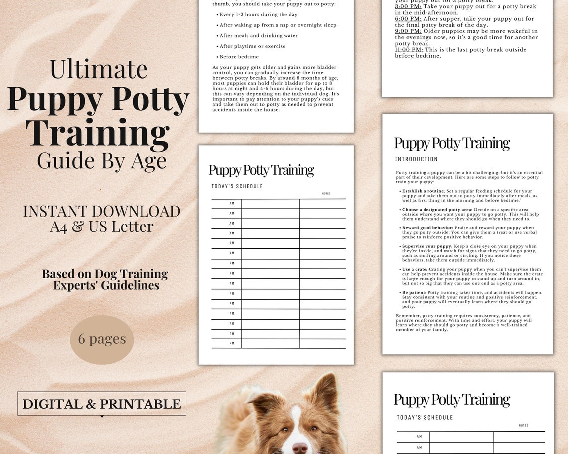 Potty Training by Age Guide Puppy Potty Training Dog Potty Training ...