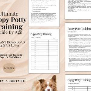 Potty Training by Age Guide Puppy Potty Training Dog Potty Training ...