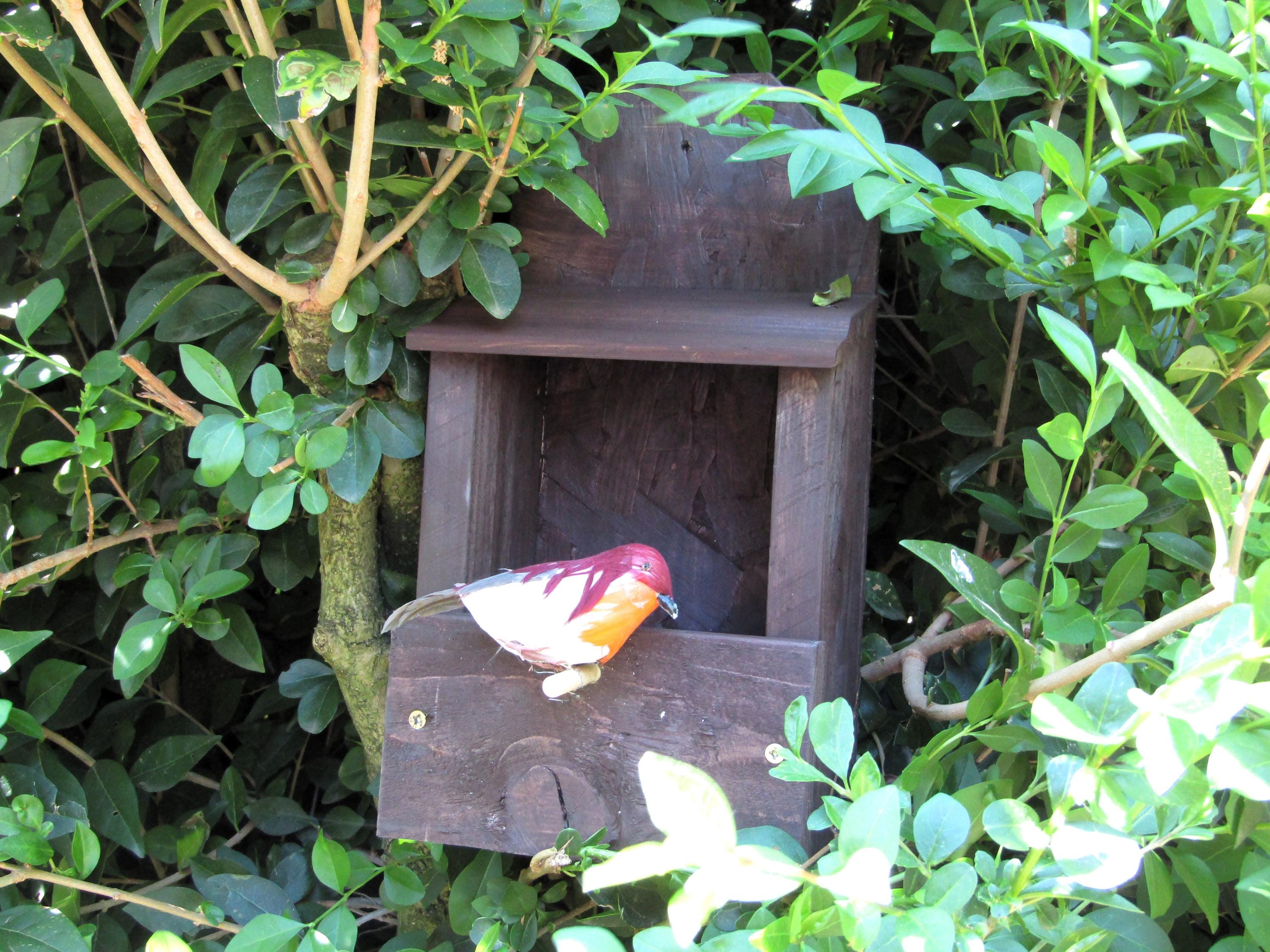 Bird Houses For Garden Bird House Wooden Nest Box With Bird ID Chart ...